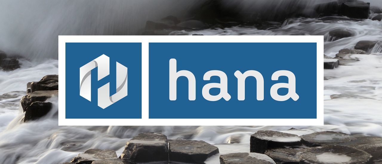 Hana Technologies Unveils New Branding | Exciting Milestone