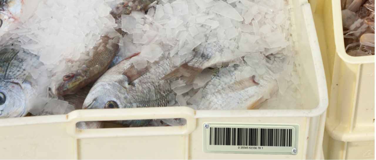 Robuste UHF-Hard-Tags für RTI Tracking von SIVA IoT