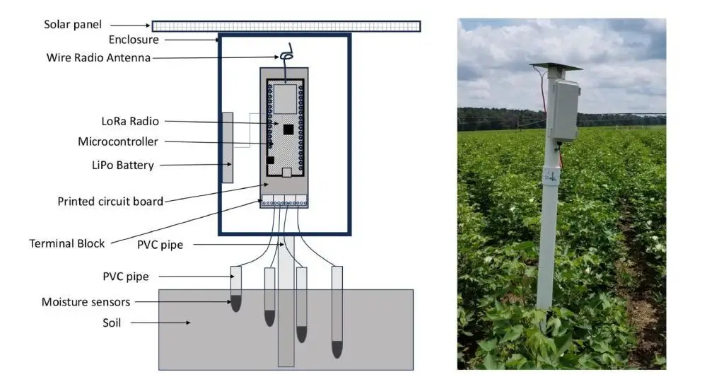 US Study: LoRa IoT Automates Irrigation