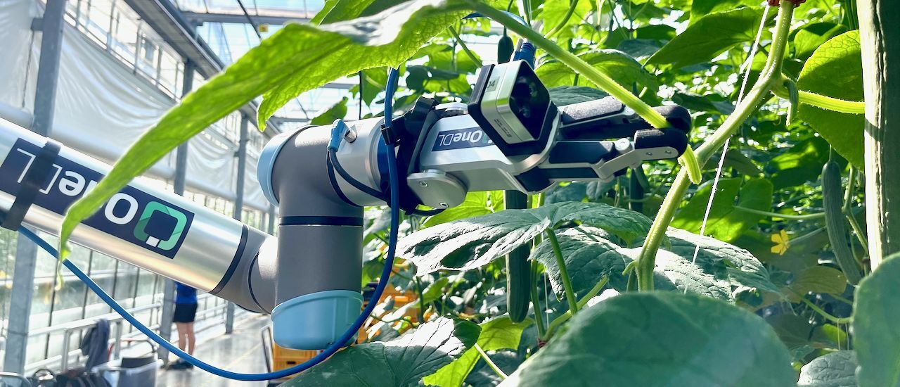 Deep learning in agriculture: AI makes farming smarter!